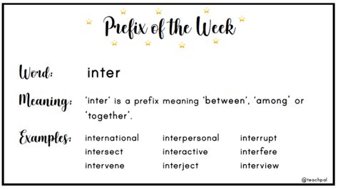 Prefix Inter And Suffix Er Of The Week Year 6