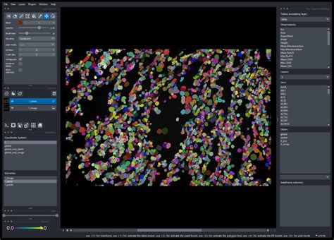 Analyse Nanostring Data In Napari Spatialdata — Napari Spatialdata