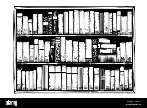 Bookshelf Drawing With Color At Blanche Carter Blog