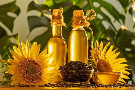 High Oleic Sunflower Oil Nutrition Facts And Benefits Nutrition Advance