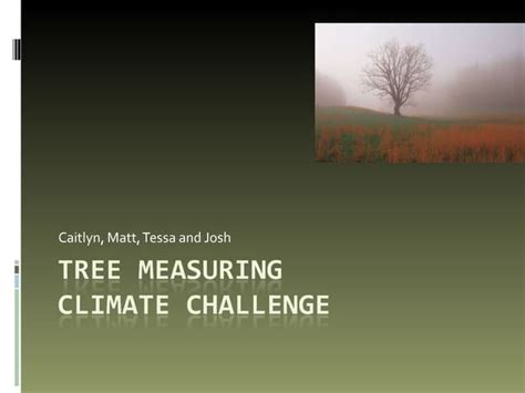 Tree Measuring Ppt