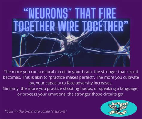Neurons That Fire Together Wire Together Black Sheep Counselling Ltd