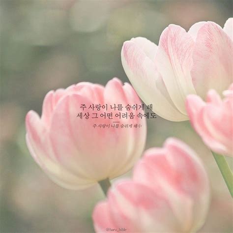 하루말씀🌿 On Instagram “[주 사랑이 나를 숨쉬게 해] 주 사랑이 나를 숨쉬게 해 세상 그 어떤 어려움 속에도 주