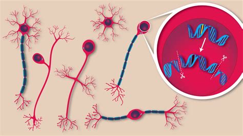 Is My Libido Normal Understanding And Boosting Your Sex Drive