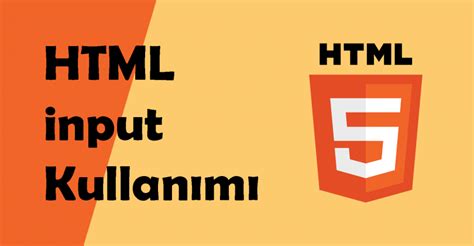 Html Input Kullanımı Tasarım Kodlama