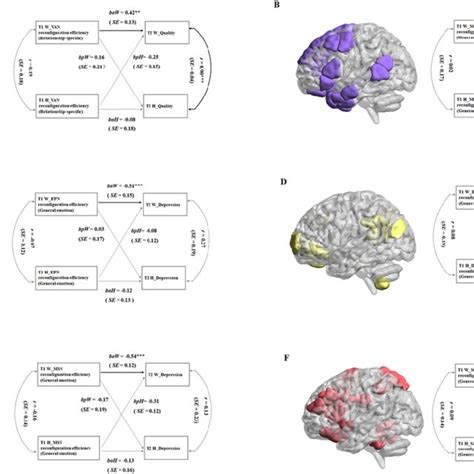 Experimental Protocols A And Schematic Representation Of The Task B Download Scientific