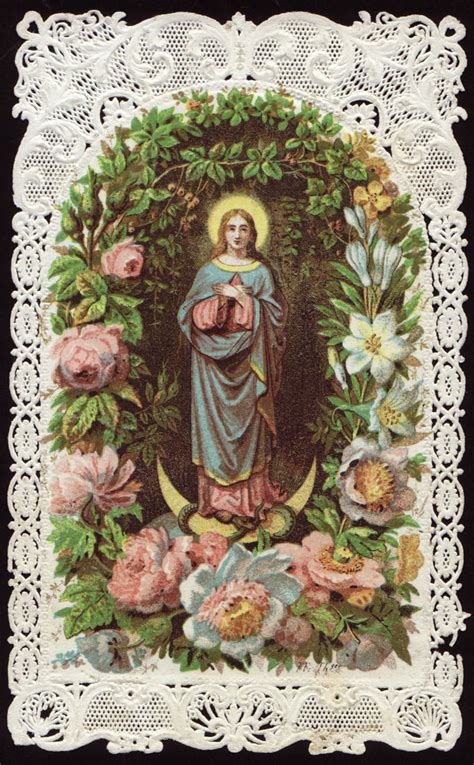 Flowers Of Mary