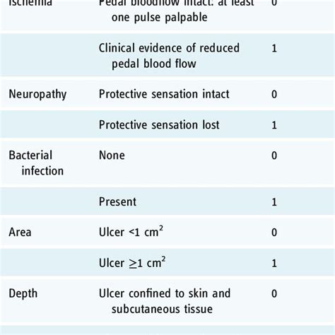 Sinbad Scoring System For Dfus Download Scientific Diagram