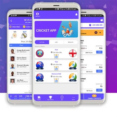 Dream 11 Fantasy Cricket Android App Development At Rs 90000 Project In Hisar