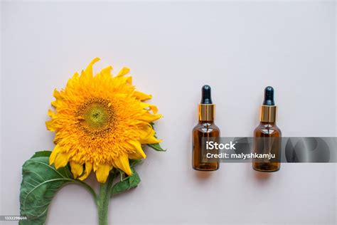 밝은 분홍색 배경에 화장품 세럼이나 크림해바라기와 병의 평평한 평지 청소년의 아름다움과 보존의 개념 건강관리와 의술에 대한 스톡
