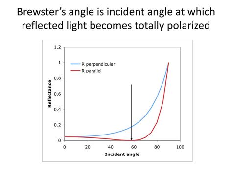 Ppt Lecture 11 Powerpoint Presentation Free Download Id 1918236