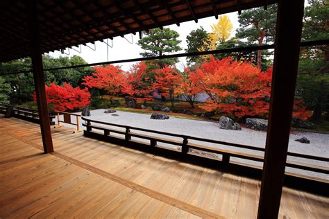秋の特別拝観の紅葉の相国寺開山堂庭園