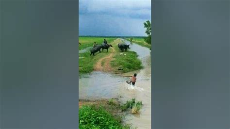 गांव की रुला देने वाली यादें इसे देखकर आपकी आंखों से आंसू आ जाएंगे