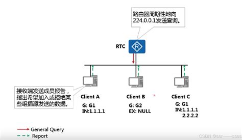 组播网络构建：igmp、pim 原理及应用实践 组播协议pim 加入、剪枝、嫁接 csdn博客
