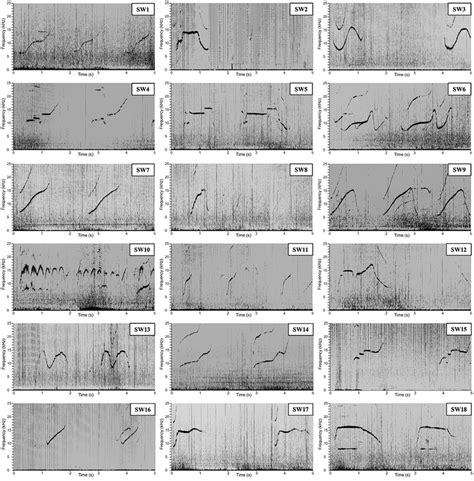 Spectrogram Examples Of 18 Signature Whistle Sw Types Sw1 Sw2 Sw3