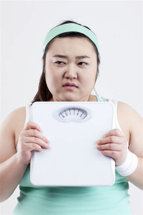 비만도 계산기 나의 비만지수는 이투데이