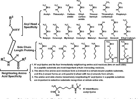 Figure 5 From The Chemical Biology Of Sirtuins Semantic Scholar