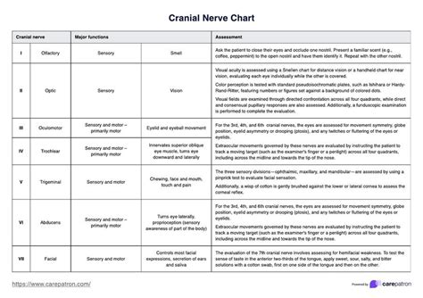 Cranial Nerve Table 1 Paulina Rambal Udocz