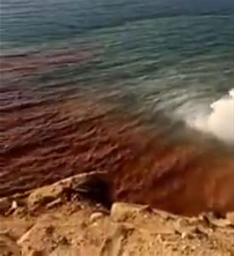 ماحقيقة انفجار مياه عذبة في البحر الميت؟ فتبينوا