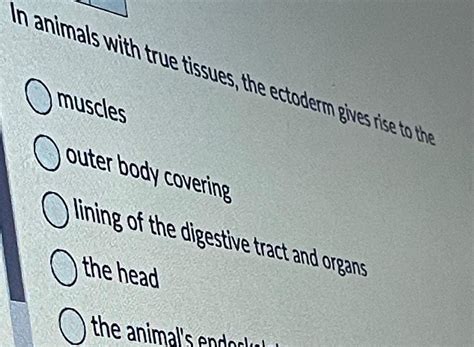 Answered In Animals With True Tissues The Ectoderm Gives Rise To The