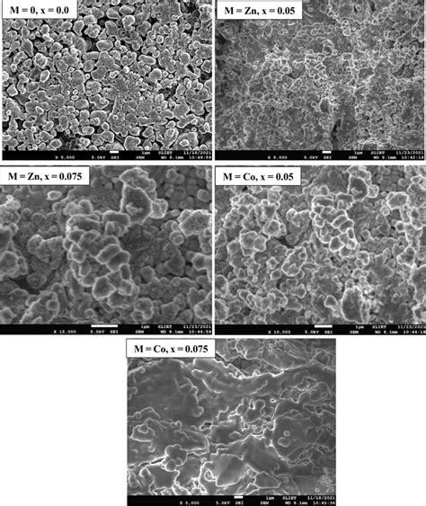 Fesem Micrographs Of Fractured Surfaces Of M 0 X 0 0 M Zn X
