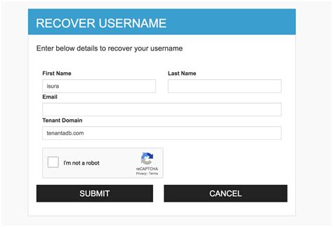 Username Recovery Fails With Server Error For Invalid Tenants · Issue 4756 · Wso2product Is