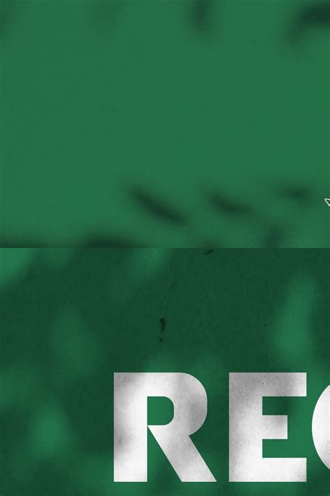 The Vine Display Font Masterbundles