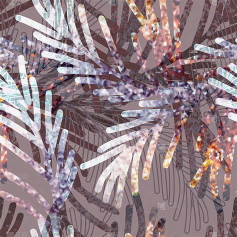 杉木树枝无缝图案。