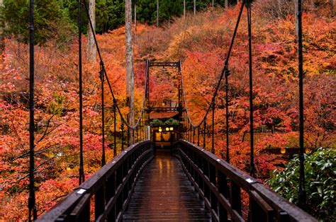 【全国紅葉の絶景：まとめ】一度は訪れてみたい！神がかった美しさの日本の絶景 50選 Tabizine～人生に旅心を～
