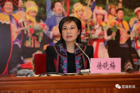 楚雄州成立60周年新闻发布会在昆举行 楚雄市人民政府