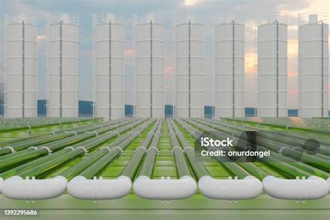 Biorreactores Tubulares De Algas Que Fijan Co2 Para Producir