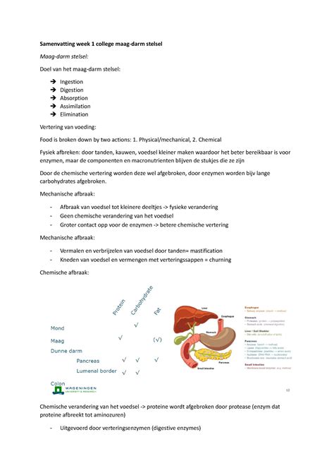 Samenvatting Lecture Maag Darm Stelsel 2023 2024 Samenvatting Week 1