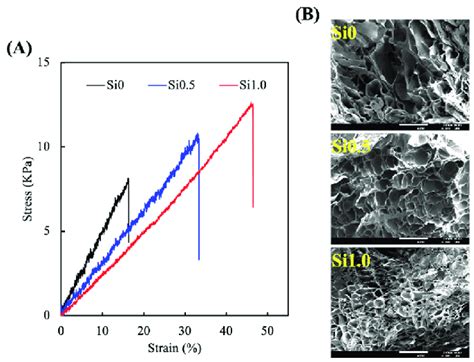 A Tensile Stress Strain Curves And B Microstructure Of The Various Download Scientific