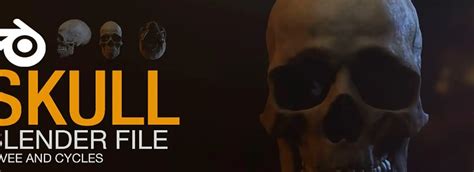 Human Skull Blender Eevee Cycles FlippedNormals