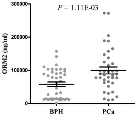 Application Of Orm2 Protein In Preparation Of Kit For Diagnosing And Distinguishing Prostatic