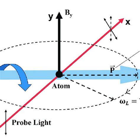 Schematic Diagram Of The Working Principle Of The Alkali Metal Atomic Download Scientific