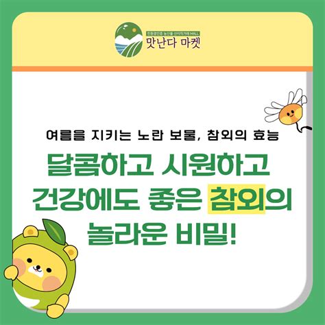 올리브온푸드 달콤하고 시원한 맛에 건강까지 챙길 수 있다면 수분 보충 90 이상이 수분 갈증 해소에 딱 붓기 제거 이뇨 작용으로 나트륨 배출 다이어트 간식