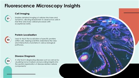Fluorescence Microscopy Insights Biological Magnification Ppt Outline Acp Ppt Example