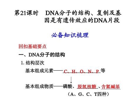 Dna分子的结构、复制及基因是有遗传效应的dna片段word文档在线阅读与下载无忧文档