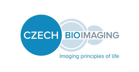 Multi Modal Light Microscopy Imaging In Plant Research