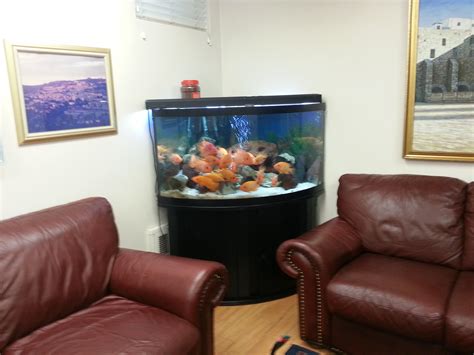 21 Delightful Fish Tank In Living Room Lentine Marine