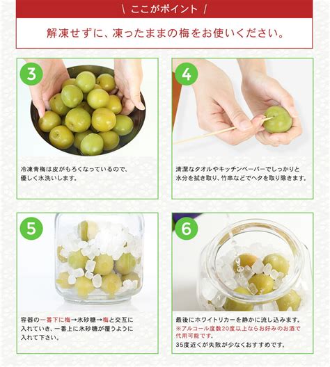 【楽天市場】冷凍梅 1kg 選べる熟度とサイズ 2024年度産冷凍南高梅 和歌山県産 冷凍梅送料無料（一部別途）梅ジュース・梅シロップ・梅酒