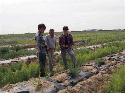 华南植物园王瑛研究员团队获宁夏农业综合开发办公室表彰