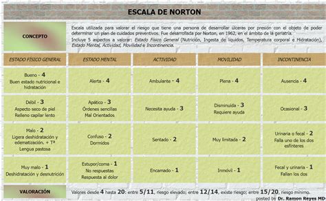 Ems Solutions International By Drramonreyesmd Marca Registrada Escala