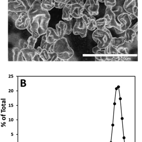 A Scanning Electron Microscopy Image Of The β‐cd Ec Hpmcas