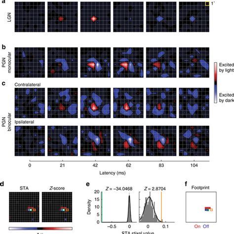 Spatial Scales Of Receptive Fields In The LGN And PGN Are Comparable A