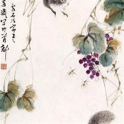 王雪涛画葡萄，令人垂涎笔墨网络松鼠