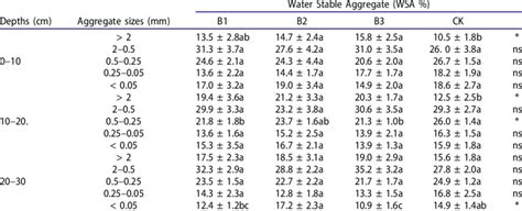 Distribution Was In The Biochar Amended Soils Download