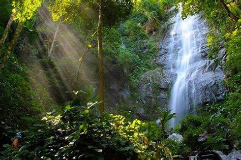 Sri Lanna National Park A Natural Paradise In Chiang Mai