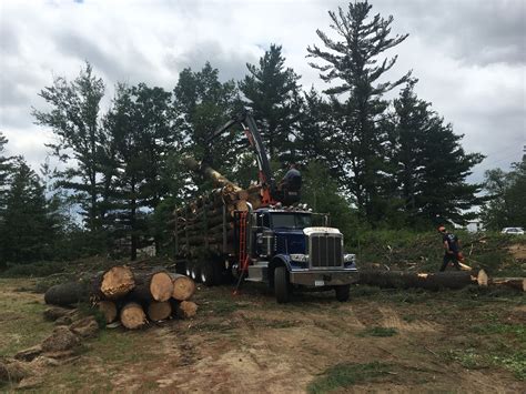 Varney And Sons Logging Free Tree Removal In New Hampshire